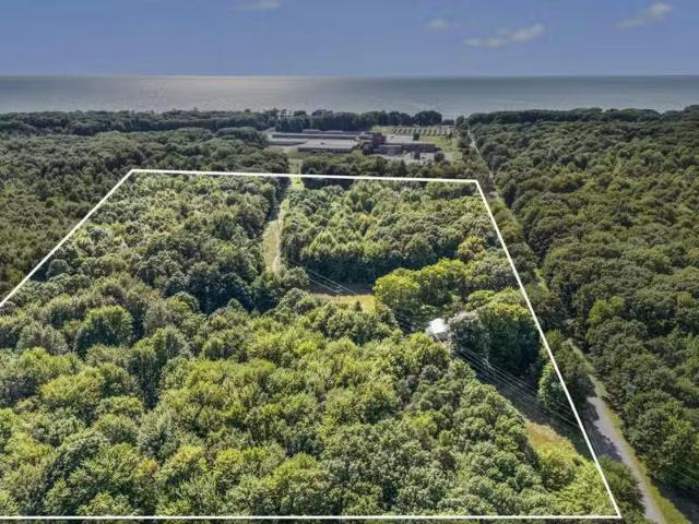 17078 LAKE MICHIGAN DR, WEST OLIVE, MI 49460 Vacant Land For S.