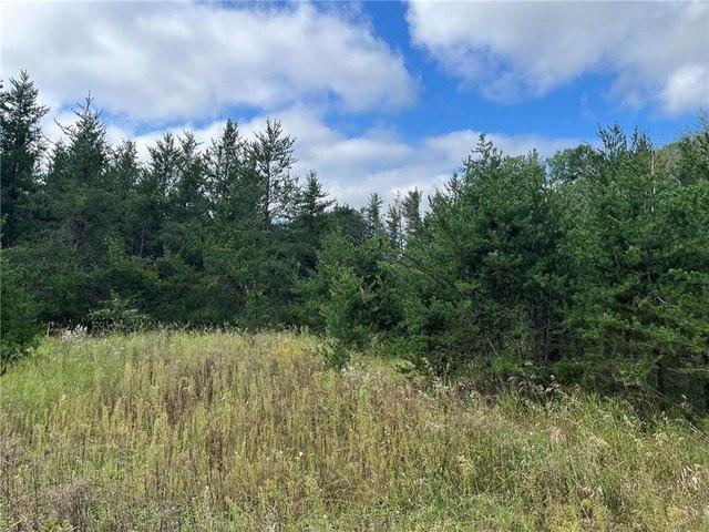 1707 Hassman Hill Tract D Rd SW, Pine River, MN 56474
