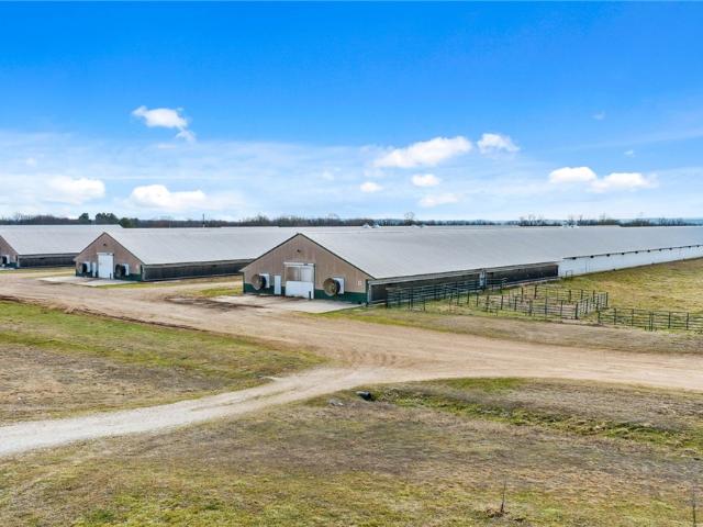 17080 Lonnie Graggs Road