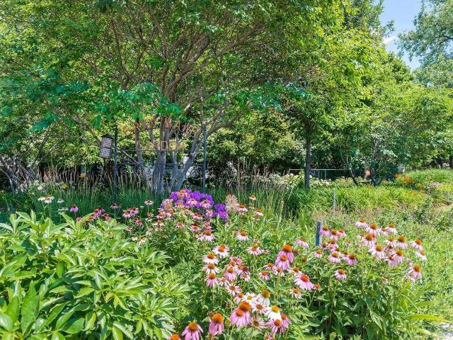 1708 Glenwood Ave Studio Apartment for Rent at 1708 Glenwood Ave, Minneapolis, MN 55405 Harrison