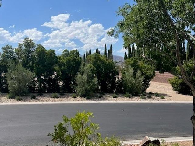 1709 Enclave Ct, Las Vegas, NV 89134 | MLS #2710