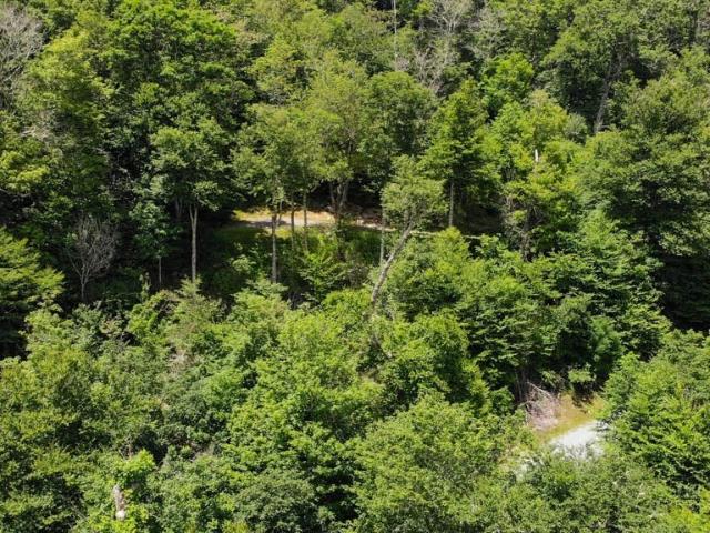 1709 Forest Ridge Drive