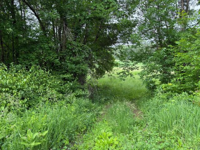 17001 Elmore Ave, Faribault, MN 55021 | MLS #6738