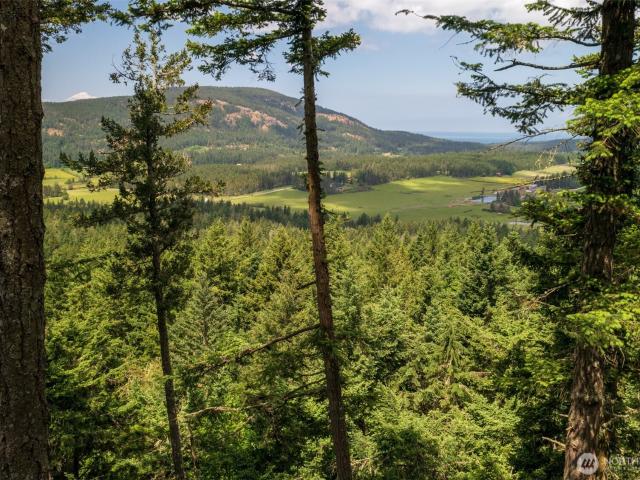 1700 Mountain Crest