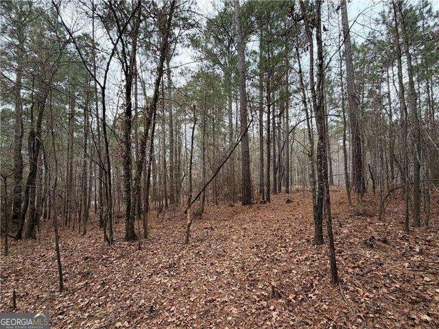 1700 Northwoods Dr, Greensboro, GA 30642