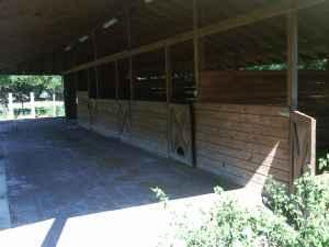 $1700 / 4br *5 ACRE HORSE RANCH WITH HOME FOR RENT* KISSIMMEE