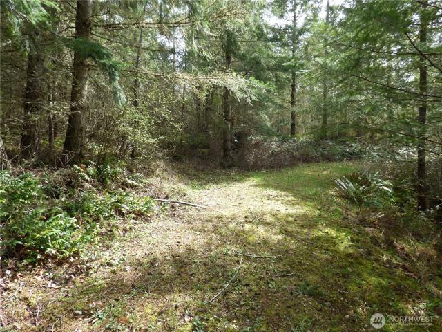 17012 th Ave E, Orting, WA 98360 | MLS #2548