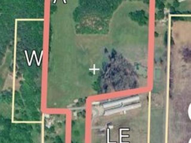 1701 County Road 168, Moulton, AL 35650
