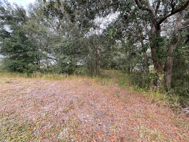 1701 Sanford St, Lake Wales, FL 33859 | MLS #S5139