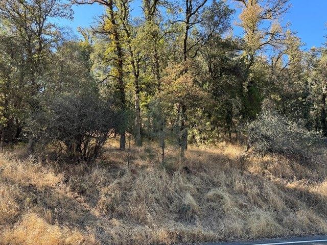 17022 Brewer Rd, Grass Valley, CA 95949