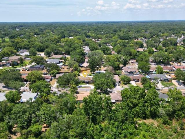1702 Blind Pond Ave, Lutz, FL 33549 | MLS #T3530 | Compass