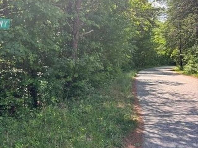 1702 Townsend Forest Ln, Browns Summit, NC 27214