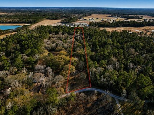 17038 Payne Rd, Conroe, TX 77302
