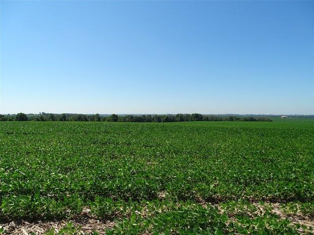 170th Ave, Plum City, WI 54761