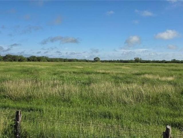 405 County Road 405 A La Gloria, Premont, TX 78355