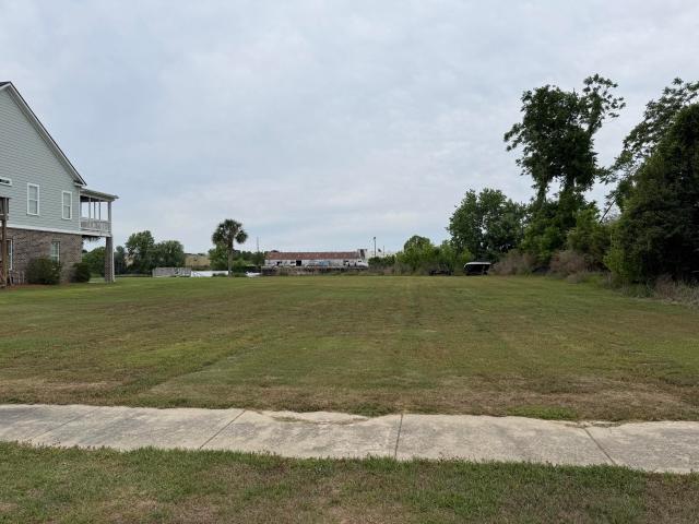 170 Altamaha Drive