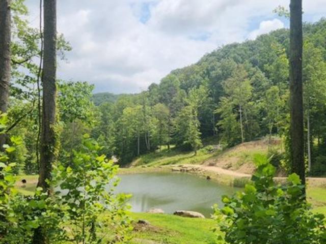 170 Birch Hollow Rd, Stanton, KY 40380