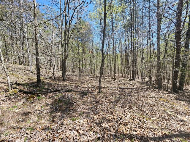 170 Bluff View Rd