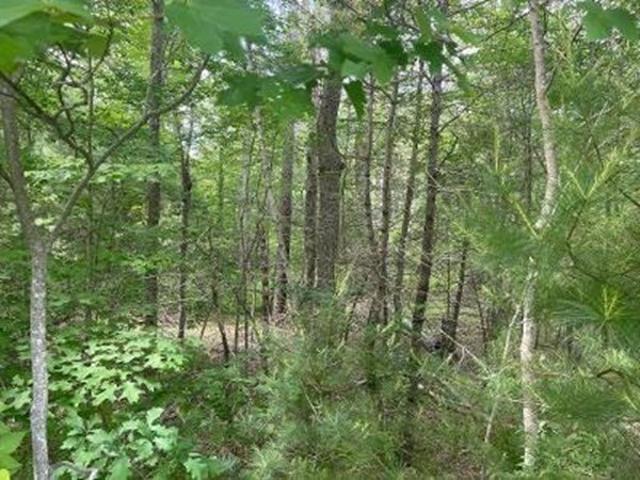 170 Elm St, Hanson, MA 02341