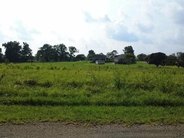 170 Lauren Ln Lot 35, Moody, AL 35004