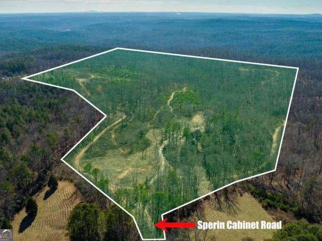 170 Sperin Cabinet Road, Ball Ground, US, GA