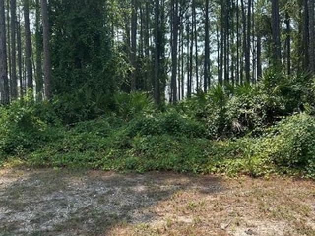 170 Royal Tern Way, Carrabelle, FL 32322