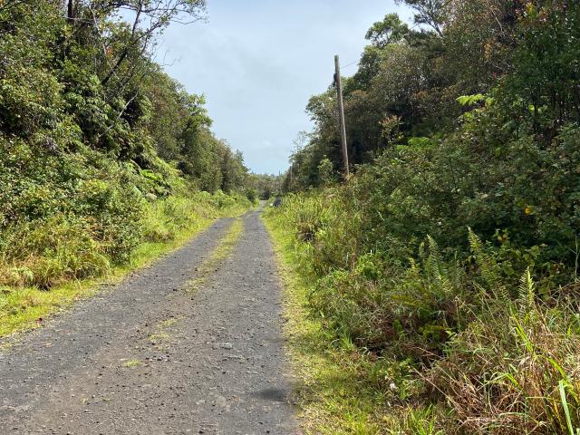 170 Road 4 Volcano Hi 96785, Mountain View, HI 96771 | MLS #724078 | Compass