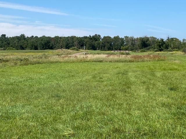 170 xx Ivy Rd, Milaca, MN 56353 | MLS #6781