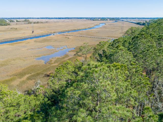 1714 Vireo Ct, Johns Island, SC 29455 | MLS #26004