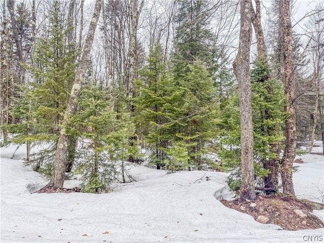 1715 Olin Rd, Lowville, NY 13367