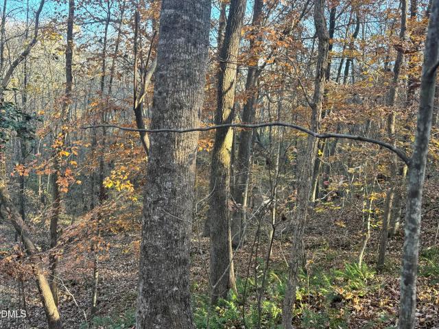 1715 Fire Dept Rd, Clayton, NC 27527 | MLS #10133