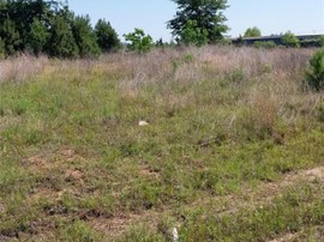 1715 Road 5729, Cleveland, TX 77327