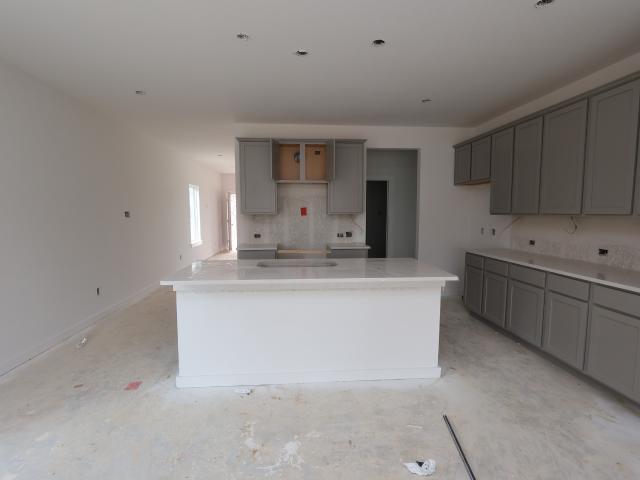 17165 Pinewood Branch Drive