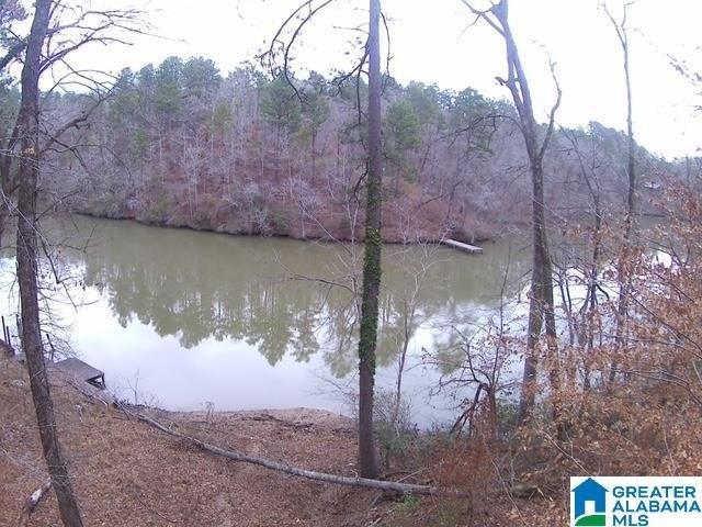 1716 E County Road 465 Lot 1716, Clanton, AL 35046