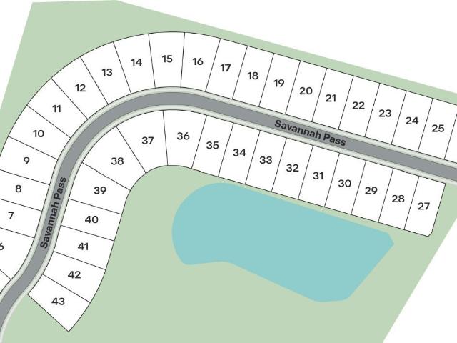 1716 Savannah Pass