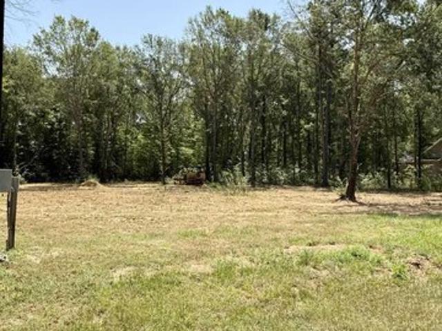 17184 County Road 479 Lot 2, Lindale, TX 75771
