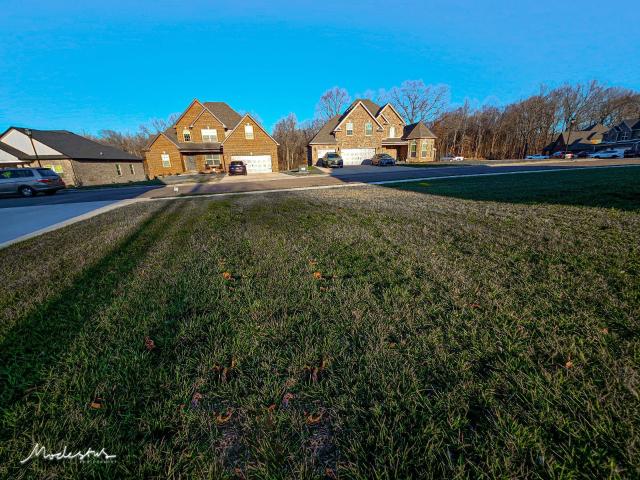 1718 Oak Forest Dr