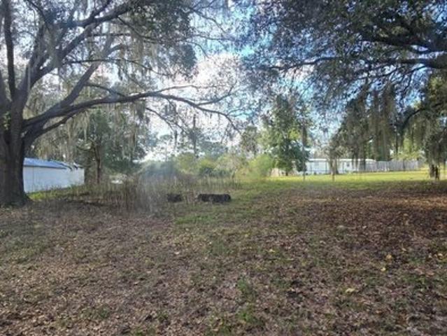 17100 SE 252nd Ave, Umatilla, FL 32784