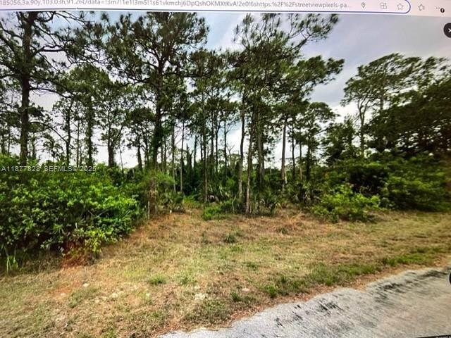 1710 Lake Ave, Lehigh Acres, FL 33972 | MLS #A11877
