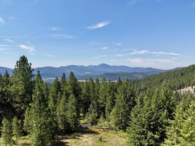 1710 Tower Mountain Rd, Blanchard, ID 83804