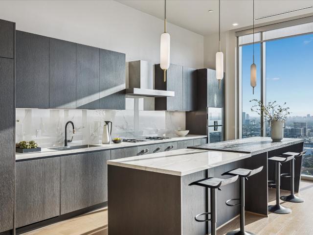 1711 Allen Parkway 3204