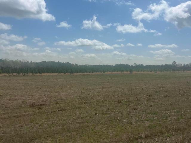 1711 Currie Mill Rd, Jackson Springs, NC 27281 | MLS #100497