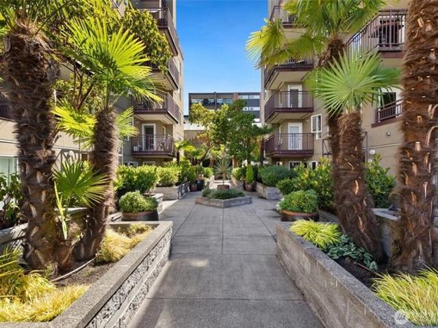1711 E Olive Way Apt 308, Seattle, WA 98102