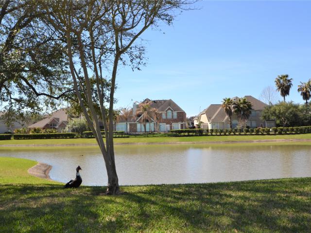1711 Emma Cove Court