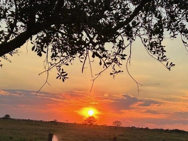 17126 Brumbelow Rd, Needville, TX 77461