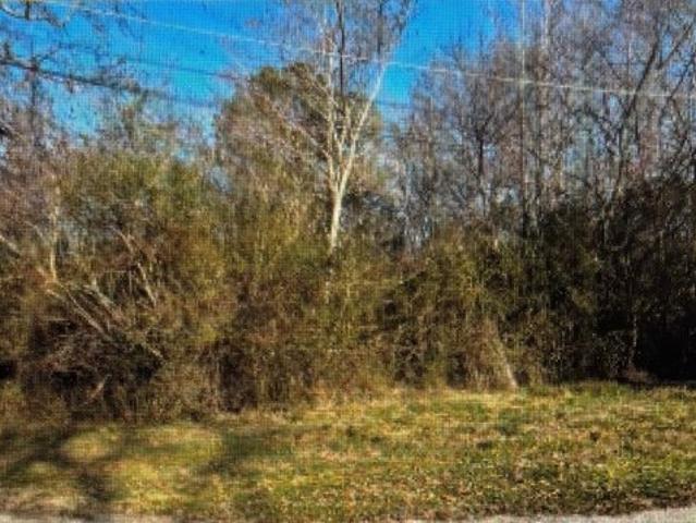 1712 NE Sockwell Ave, Russellville, AL 35653
