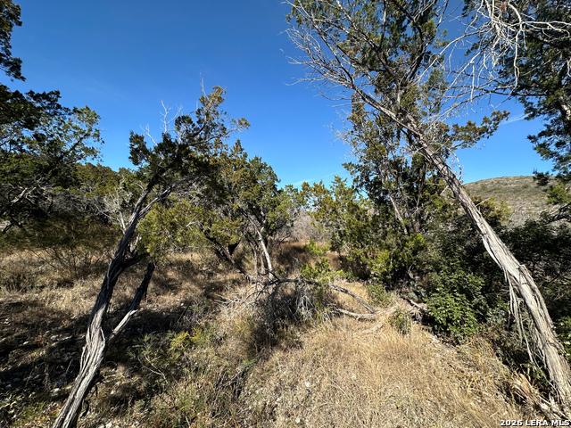 17130 Highway 127