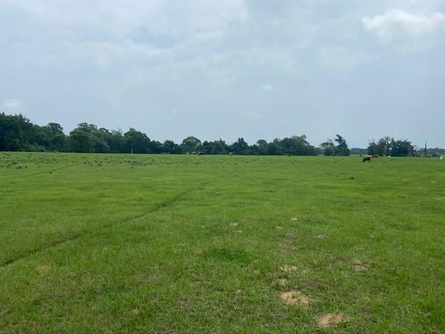 17139 Cr 319 Navasota, TX 77868 | MLS #78219 | Compass