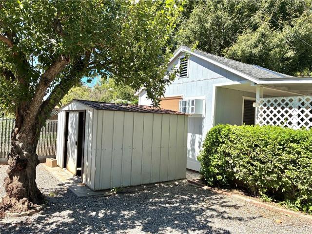 1713 Arbutus