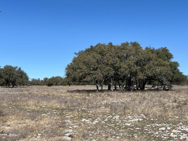 171 Crooked Tree Cir, Unit 13, Harper, TX 78631 | MLS #101804